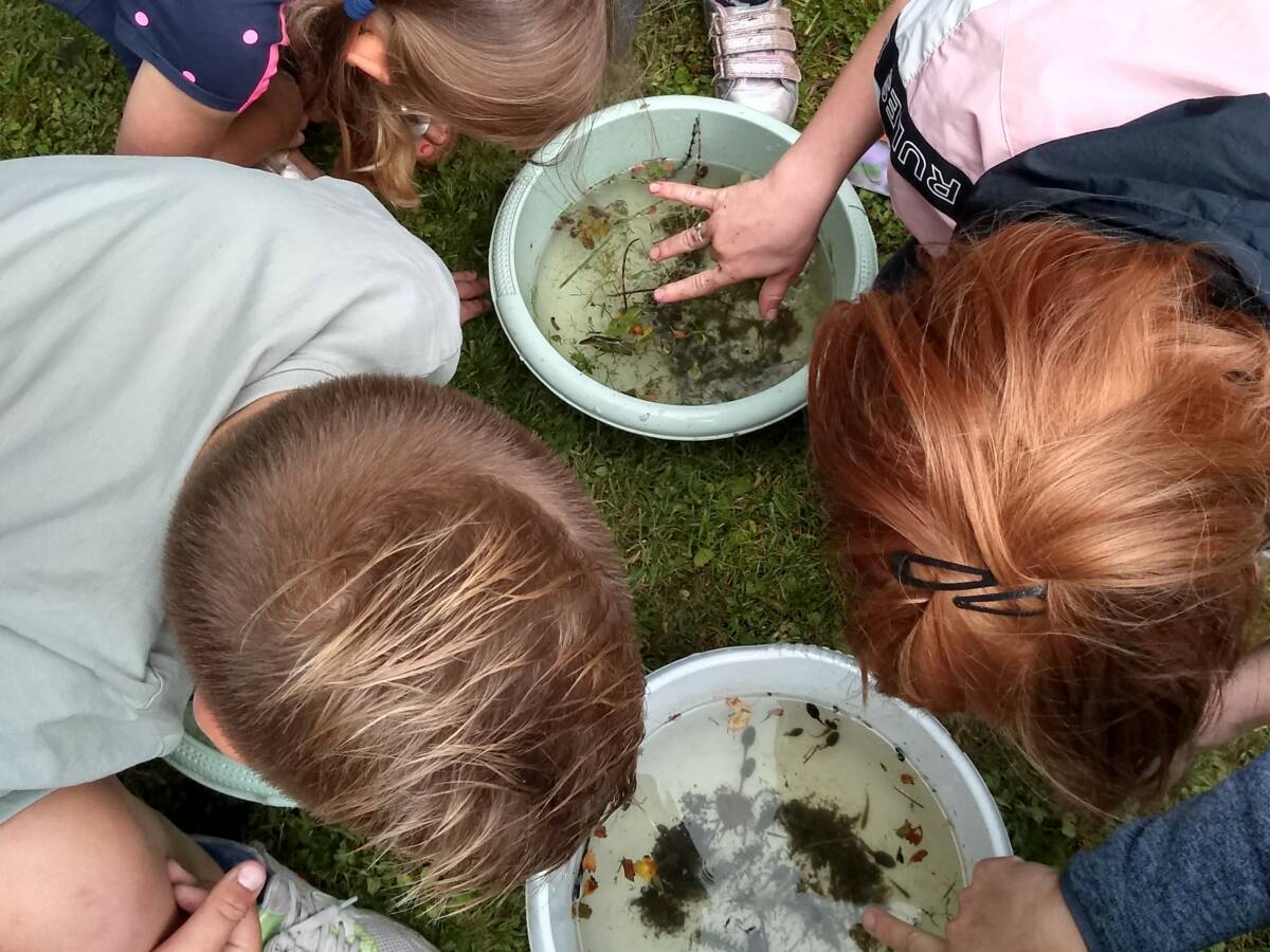 ZinTUIgeN - voor liefhebbers van groei en bloei! - Waterbeestjes zoeken